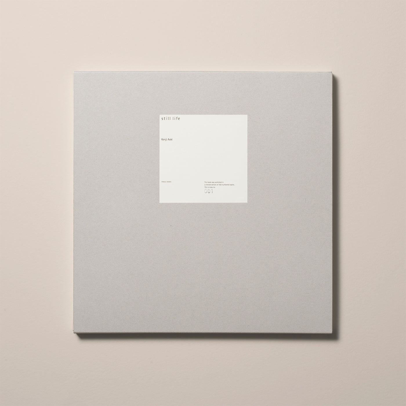 Release | still life by Kenji Aoki – FRAGILE BOOKS